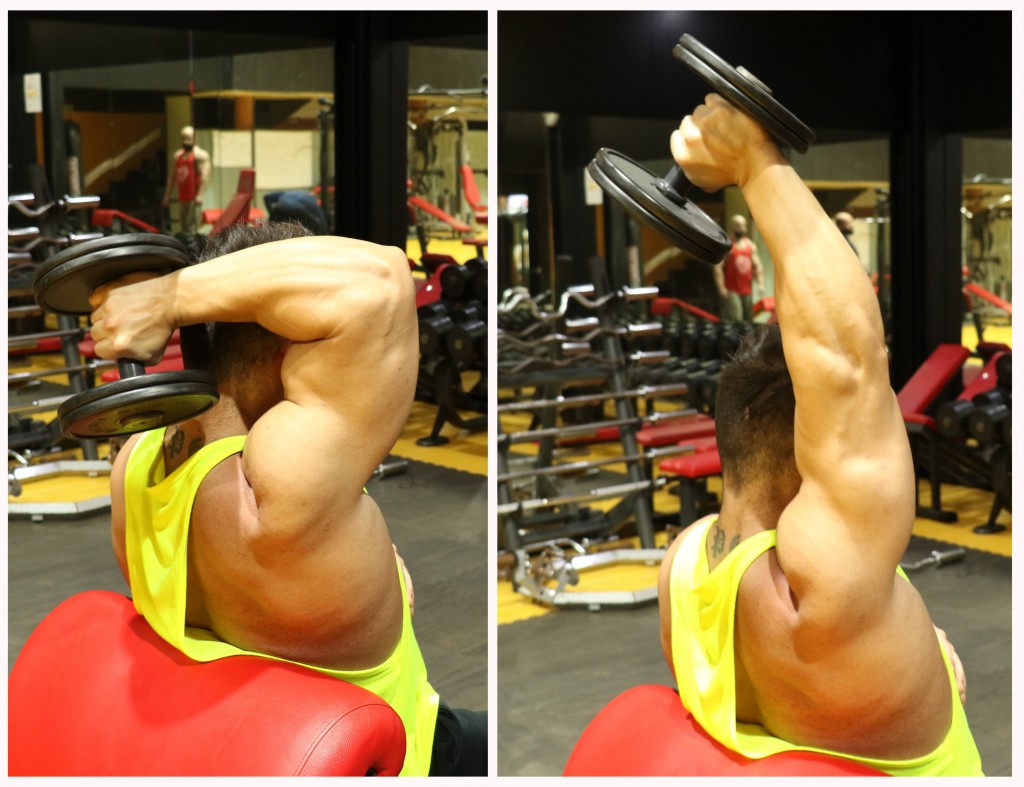 TRIC15 – Press Francês c\halter unilateral – Edgar Gomes