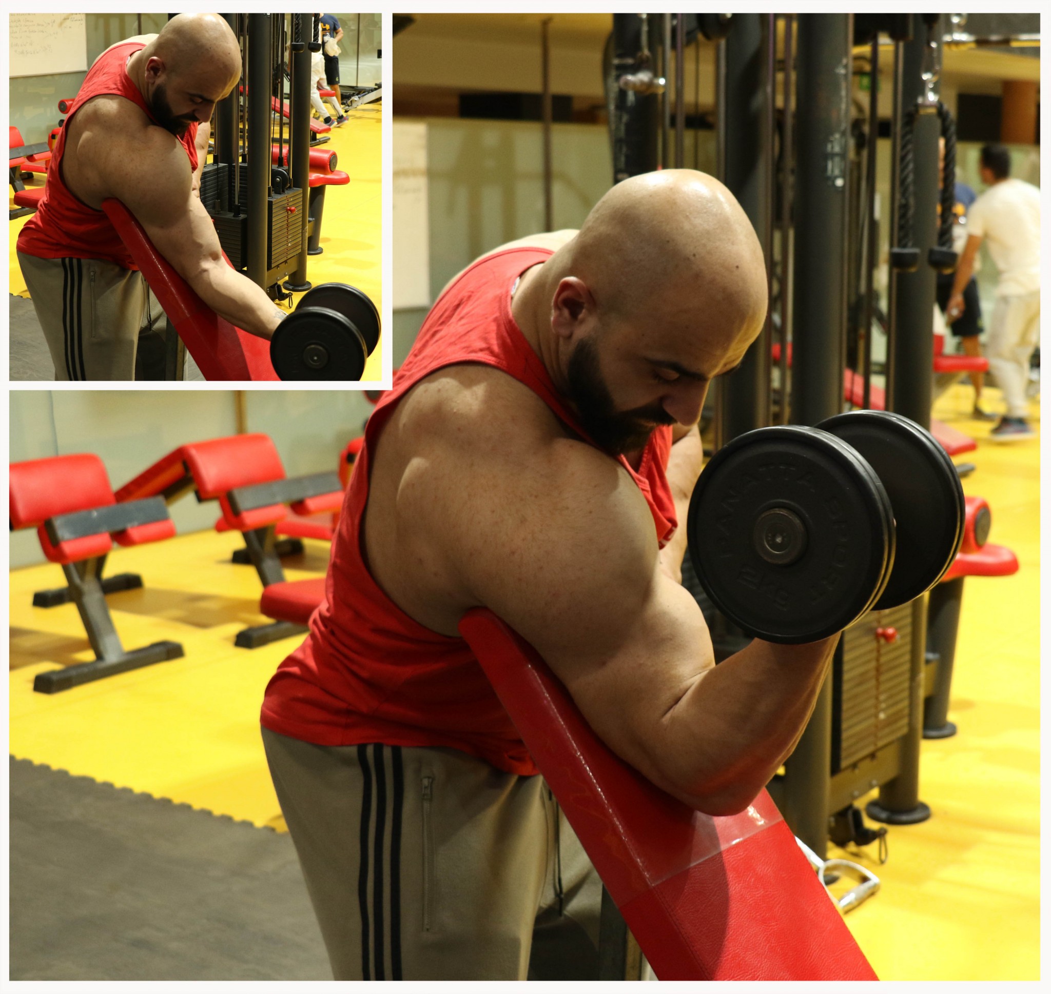 BIC19 – Curl concentrado no banco unilateral – Edgar Gomes