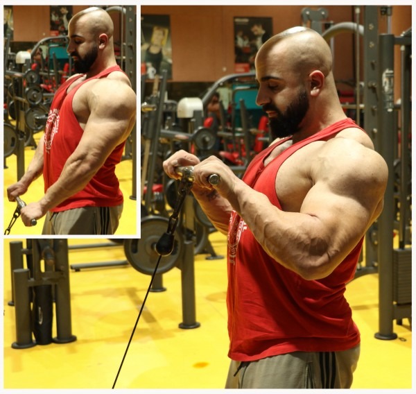 BIC31 – Curl com cabo invertido – Edgar Gomes